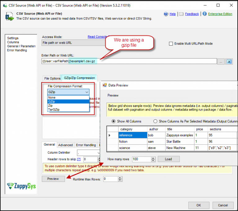SSIS CSV File Source - Read / Import from Flat File or Web API | ZappySys